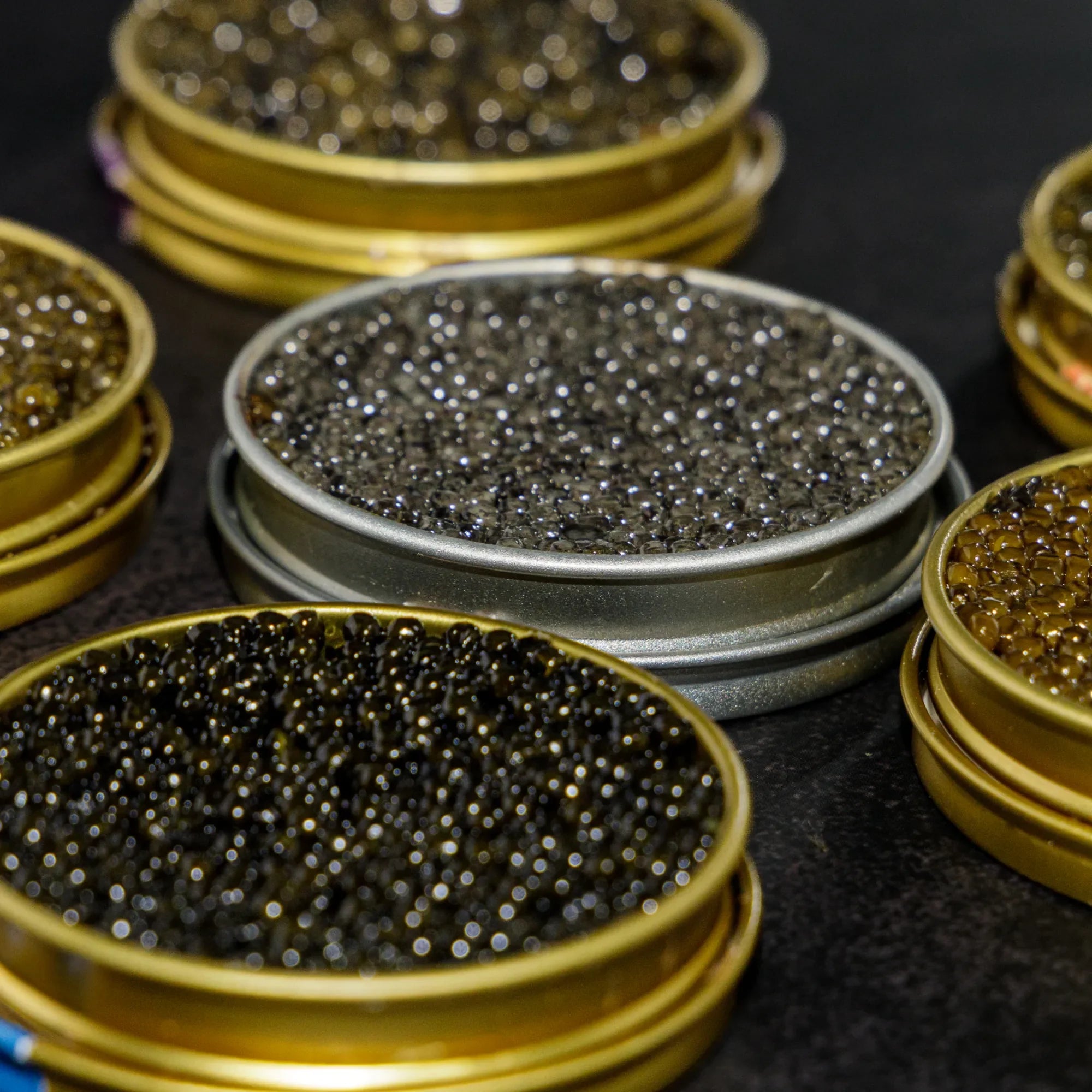 Shades of Luxury: Why Black Caviar Comes in So Many Colors – Black Gold ...